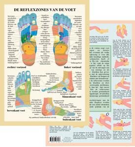 Kleurenkaart Reflexzones Voet groot (A4) - Het Gouden Tijdperk