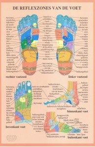 Reflexzones van de voet (kleurenkaart in A4-formaat) - Het Gouden Tijdperk