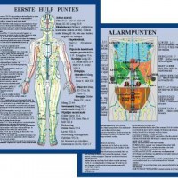 Kleurenkaart Meridianen groot (A4) - Het Gouden Tijdperk