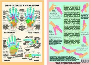 Kleurenkaart Meridianen groot (A4) - Het Gouden Tijdperk